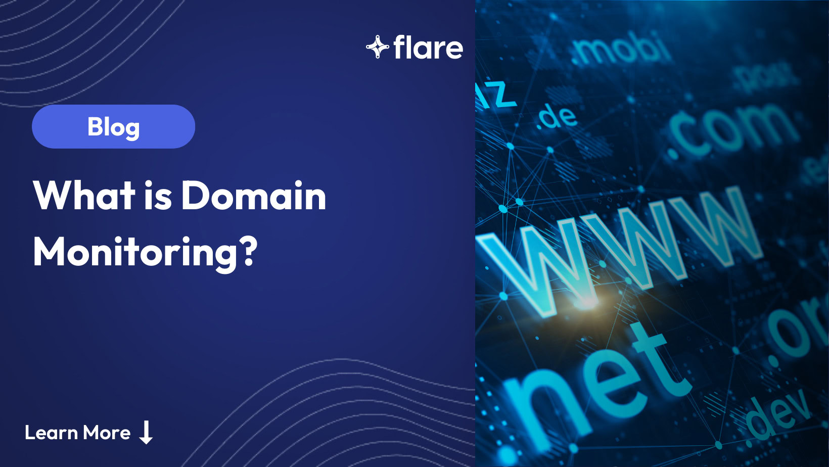 What is Domain Monitoring? The definition