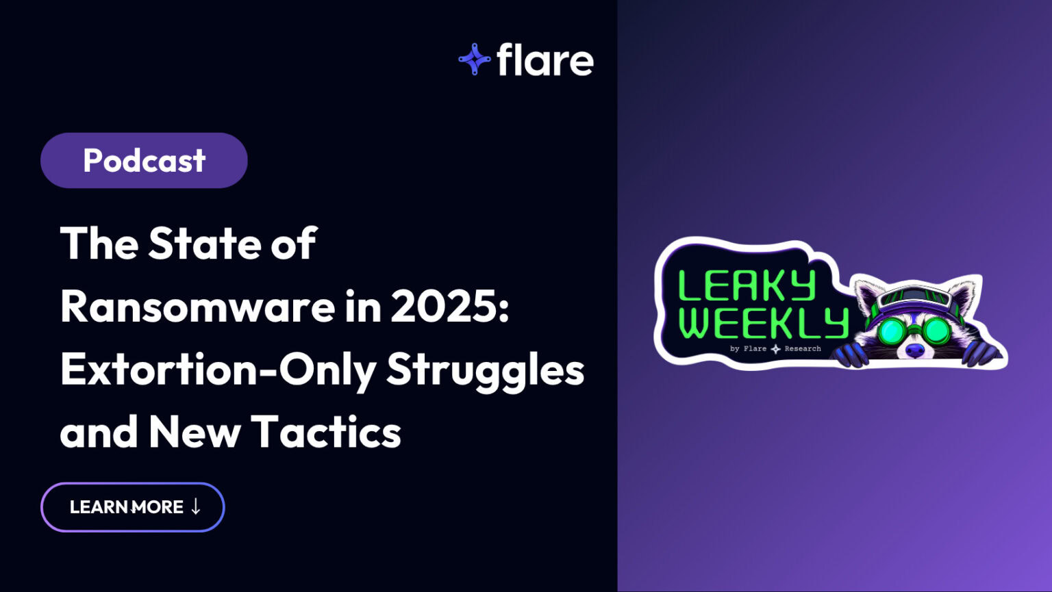 RedLine Stealer Malware: The Complete Guide - Flare