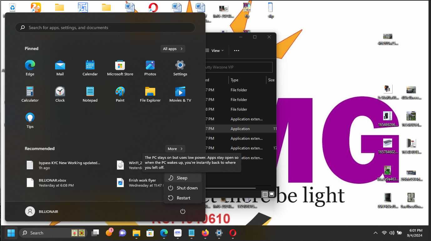 Stealer Logs - Flare